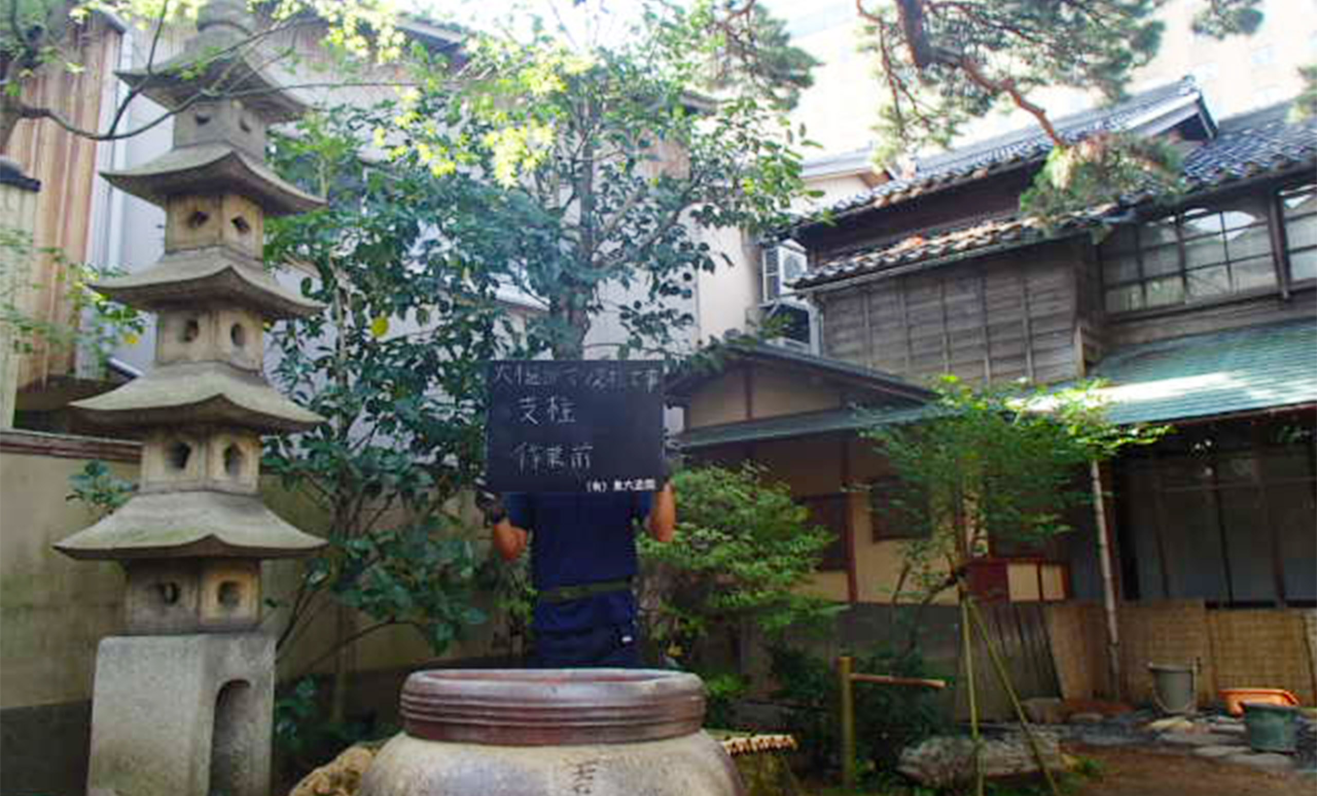 石川県文化財パトロール 堂形のシイ | (有)兼六造園 石川県金沢市の造園業 庭造り,作庭,植木屋,樹木医,樹木治療,外構工事,ガーデニング